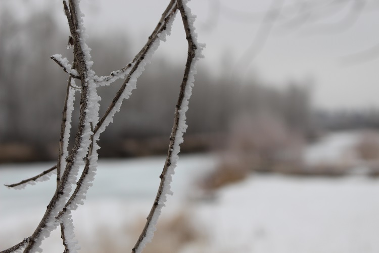 Extreme cold returning to the Foothills thanks to Alberta Clipper ...