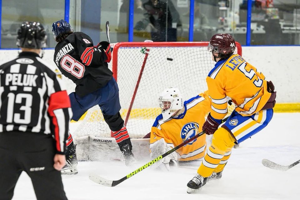 MJHL sweeps day two, takes MJ/SJ Showcase 4-2 - PortageOnline.com ...