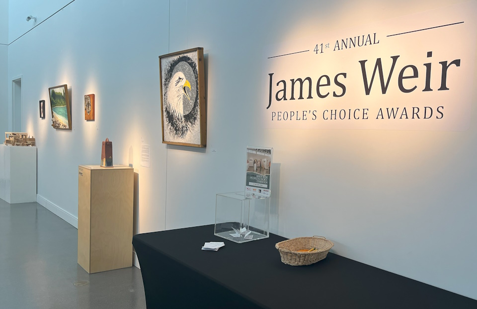 Local artwork on display at 41st annual James Weir People's Choice ...