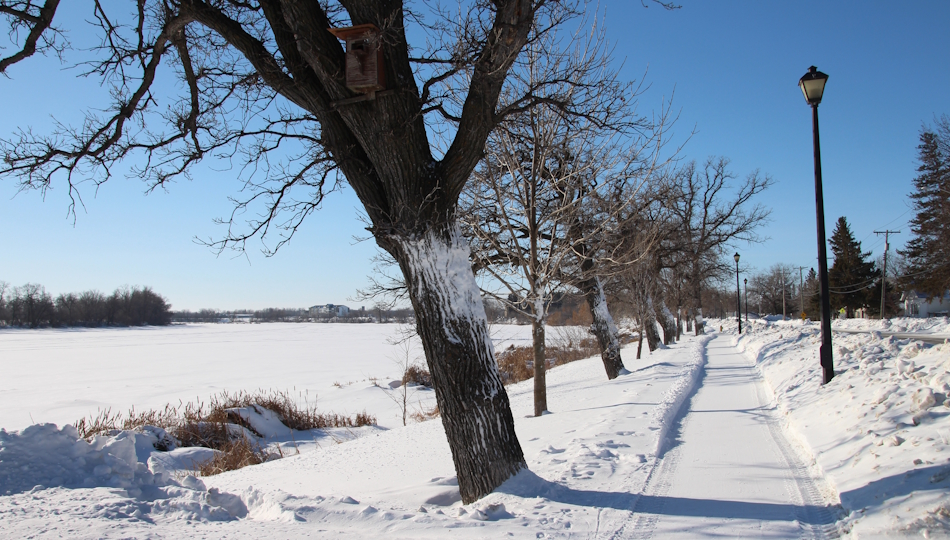 Westman Region to experience much warmer weekend after recent cold snap ...