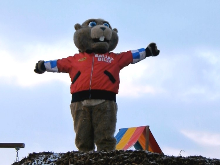 Did Balzac Billy predict an early spring or a longer winter ...