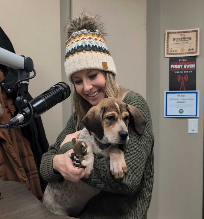 Adorable Adoptables: Fiji the floppy-eared star needs you ...