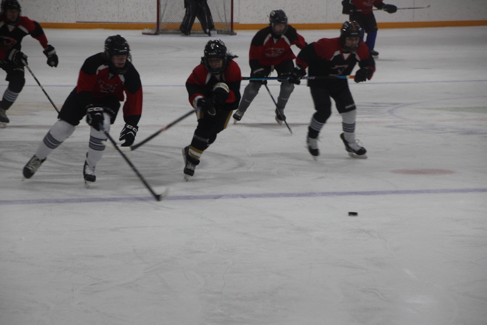 Here are a few fun things to do during Family Day in Strathmore and ...