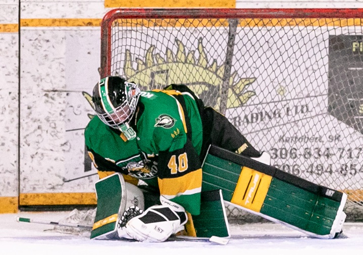 Senior Hockey Recap: League, provincial playoffs hitting full stride ...