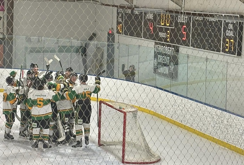 Senior Hockey Recap: Scrappy Mallards defeat Tigers for spot in Cross ...