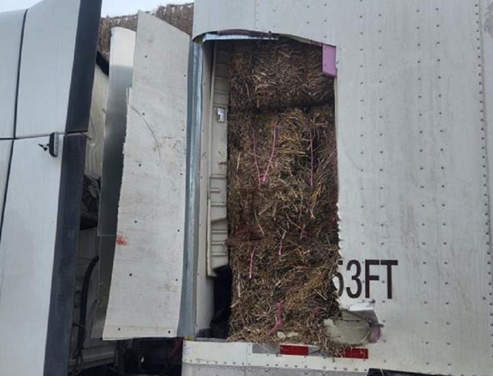 Fire fighters rescue one from loaded semi trailer east of Plum Coulee ...