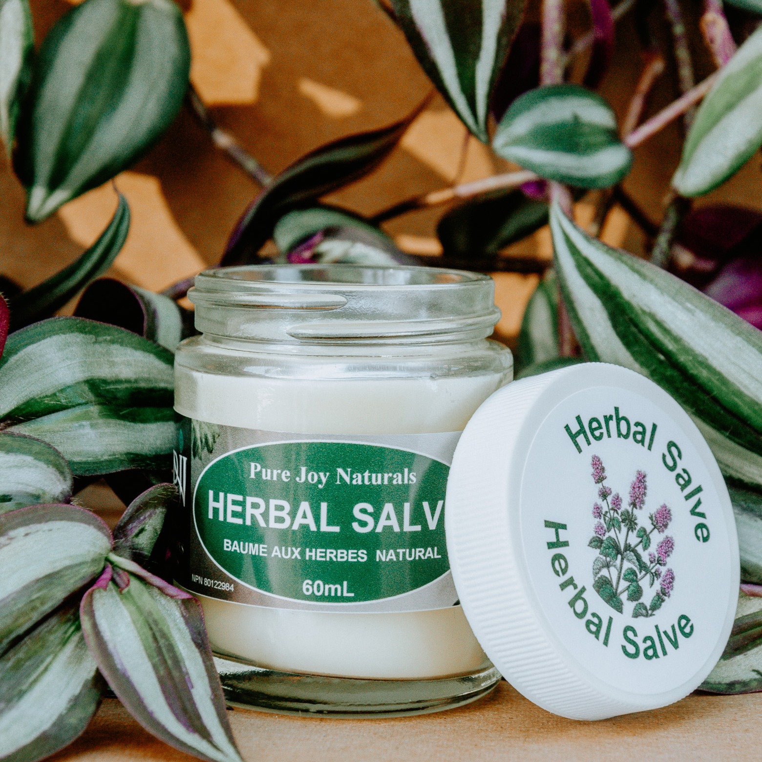 Local investment, national interest: How Pure Joy Naturals’ innovative ...