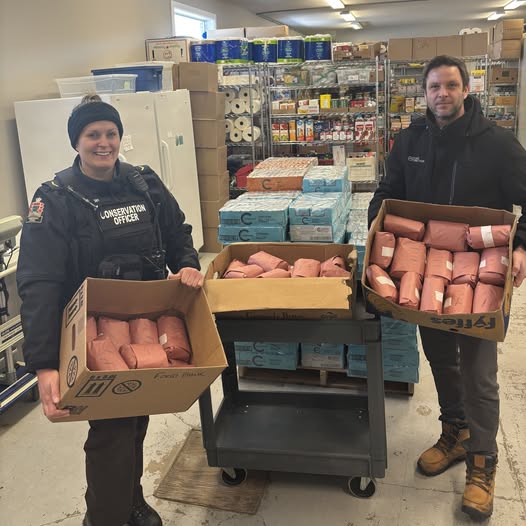 Seized wildlife meat donated to Humboldt and District Food Bank ...