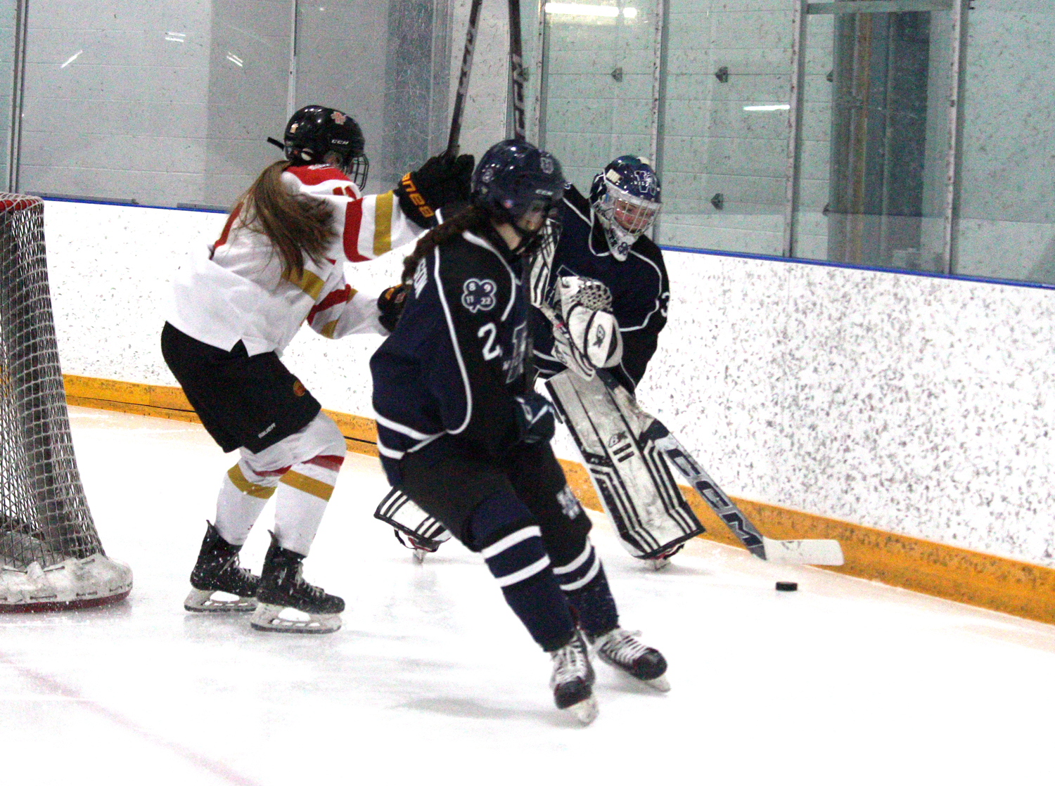Wildcats bounce back against Rebels - SwiftCurrentOnline.com - Local ...