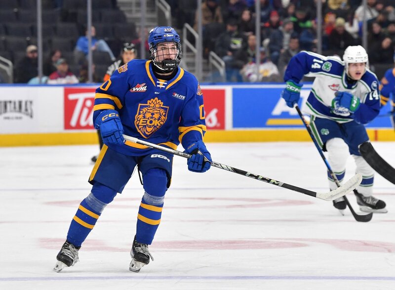 Lanigan's Kayden Stroeder recalled by WHL's Edmonton Oil Kings ...
