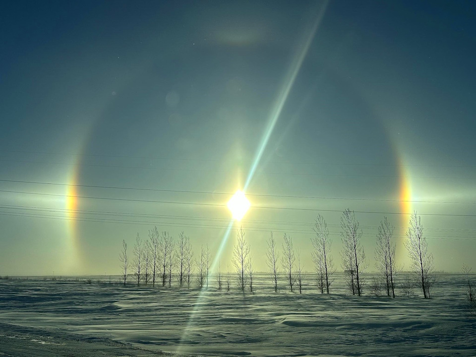 Dogs, sun dogs, snow fun & more: Your Discover Weyburn Photos of the ...