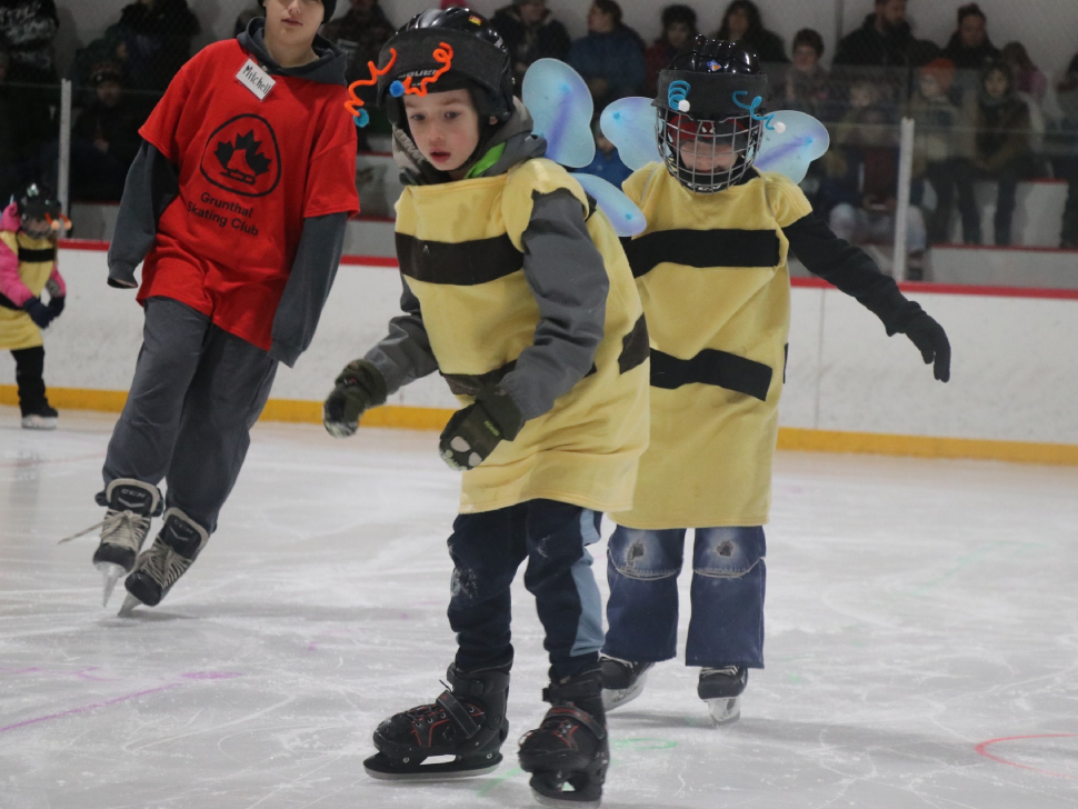 Deep Blue Spectacle ice show to dazzle at Grunthal Arena ...