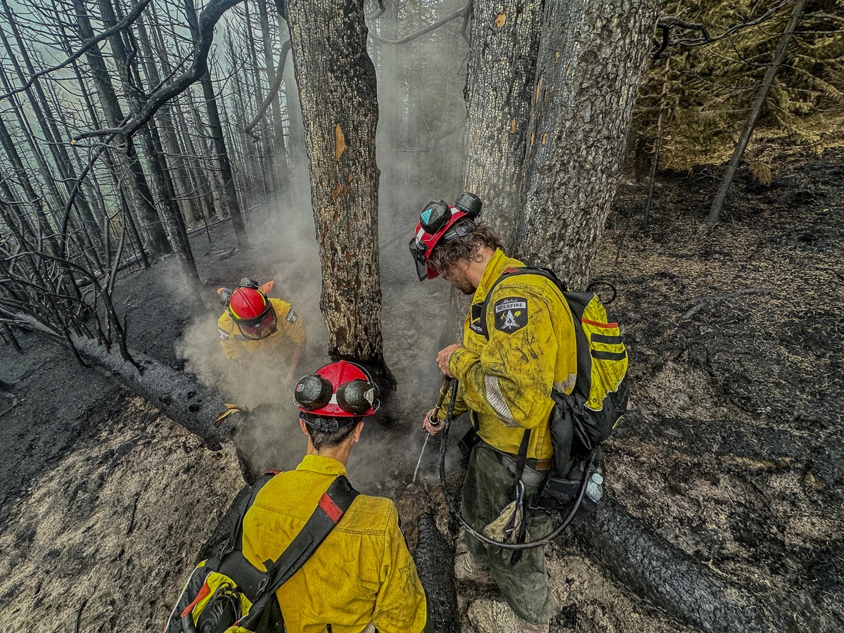 Airdrie’s cold spring cuts wildfire risk in area - for now ...