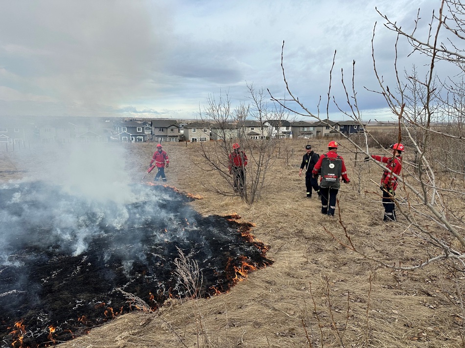 Strathmore firefighters conduct controlled burns across town ...