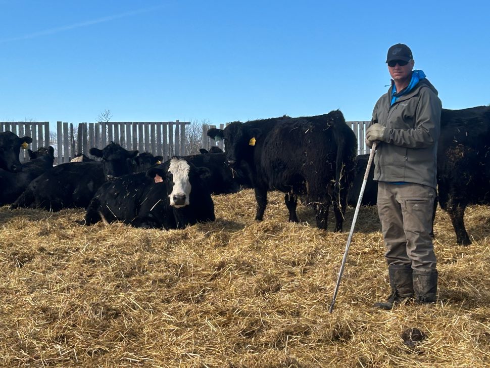 From calves to crops: Reid family tackles spring double duty ...