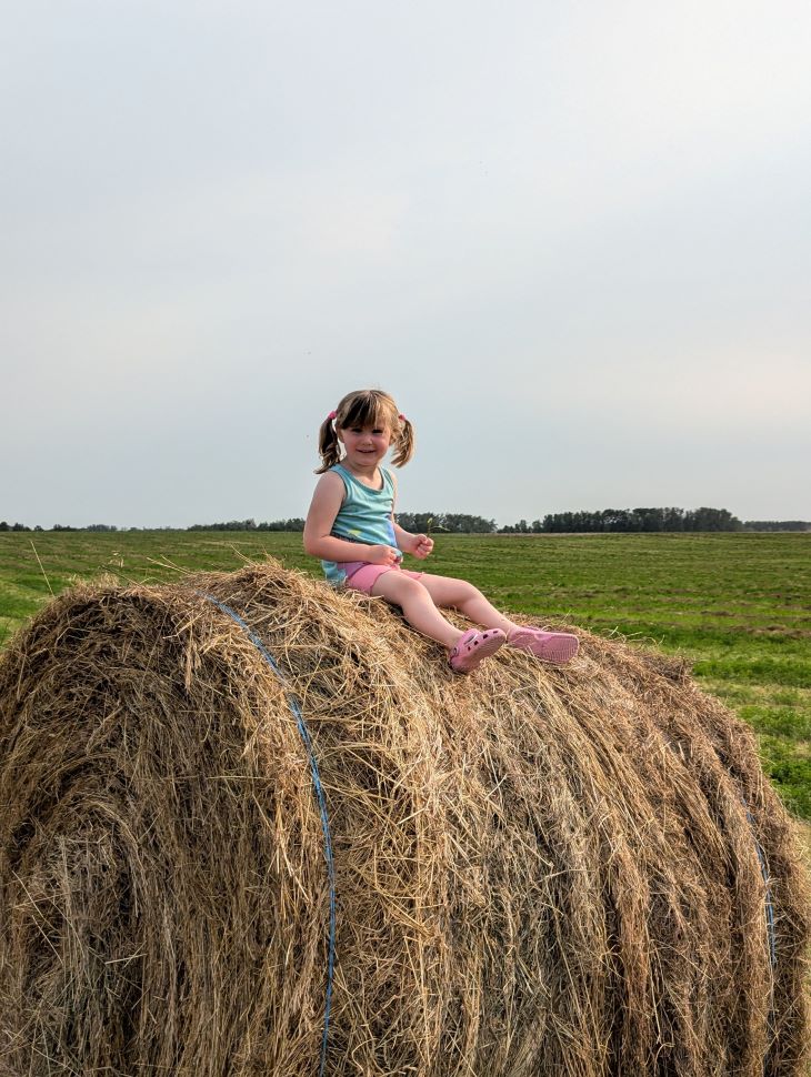 Young farmers, big dreams: final days to enter Co-op Future Farmers ...