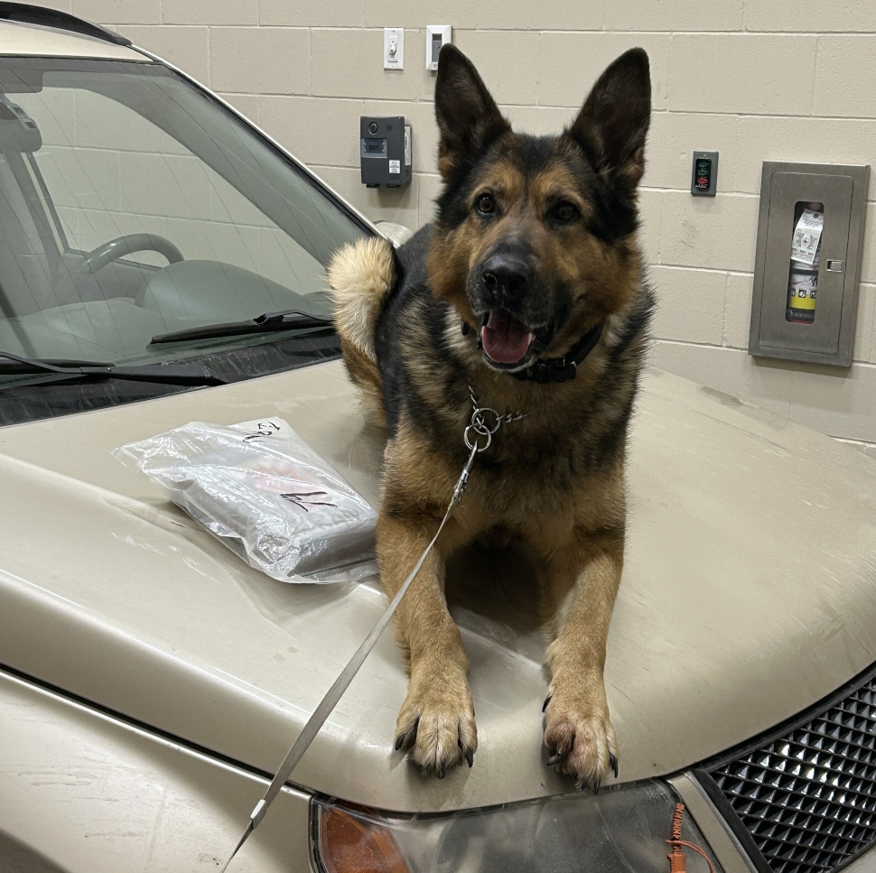 One kilogram of cocaine seized between Regina and Moose Jaw ...