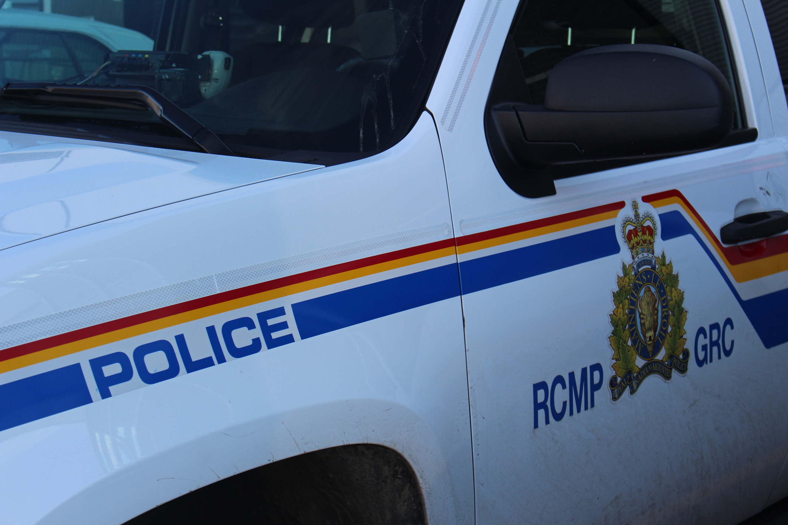 Red Deer RCMP seek public assistance in locating missing youth ...