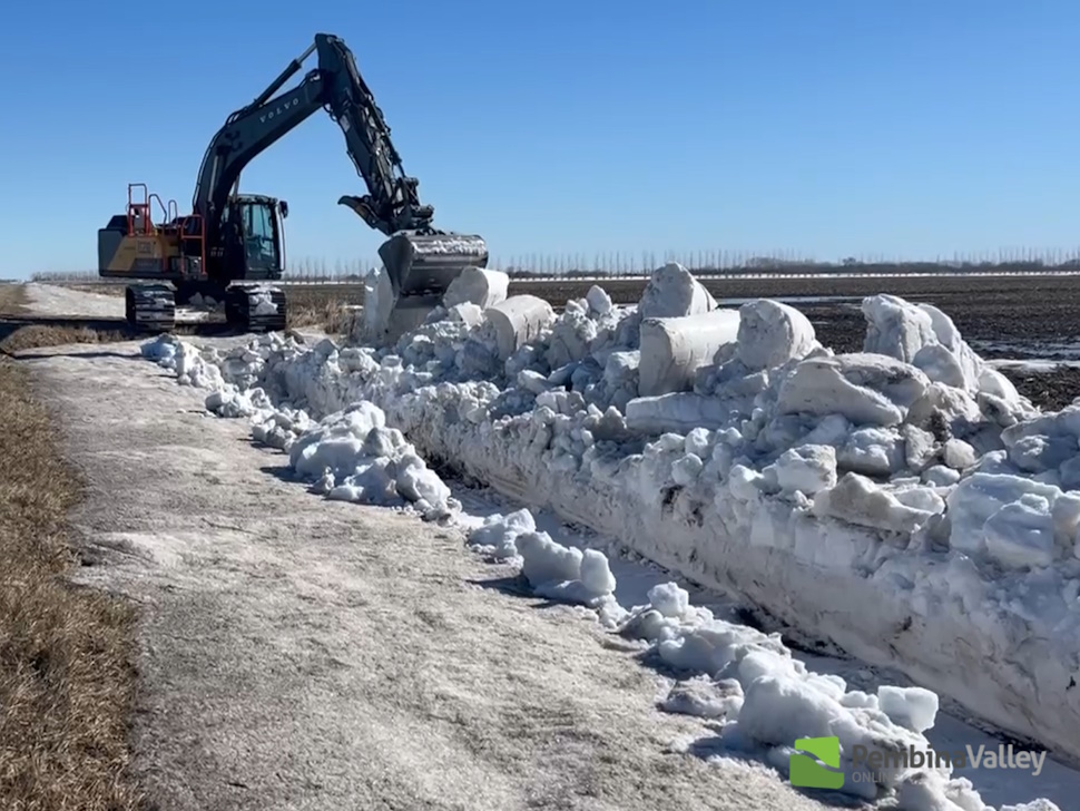 Wrecking journals and prize opportunities, the Altona Library is busy ...