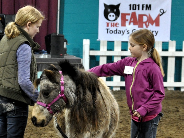 Royal Manitoba Winter Fair begins today at the Keystone Centre ...