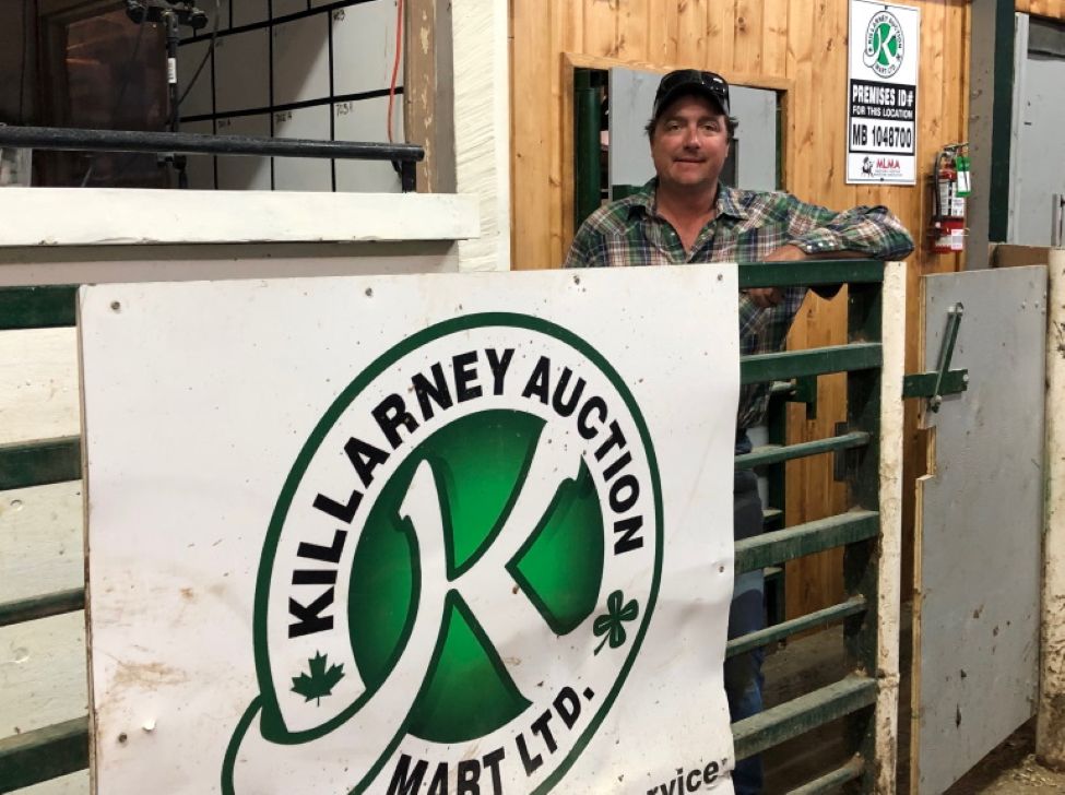 Killarney Auction Mart marks 10 year milestone with record numbers ...