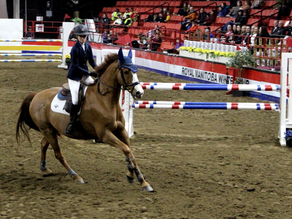 Royal Manitoba Winter Fair begins today at the Keystone Centre ...