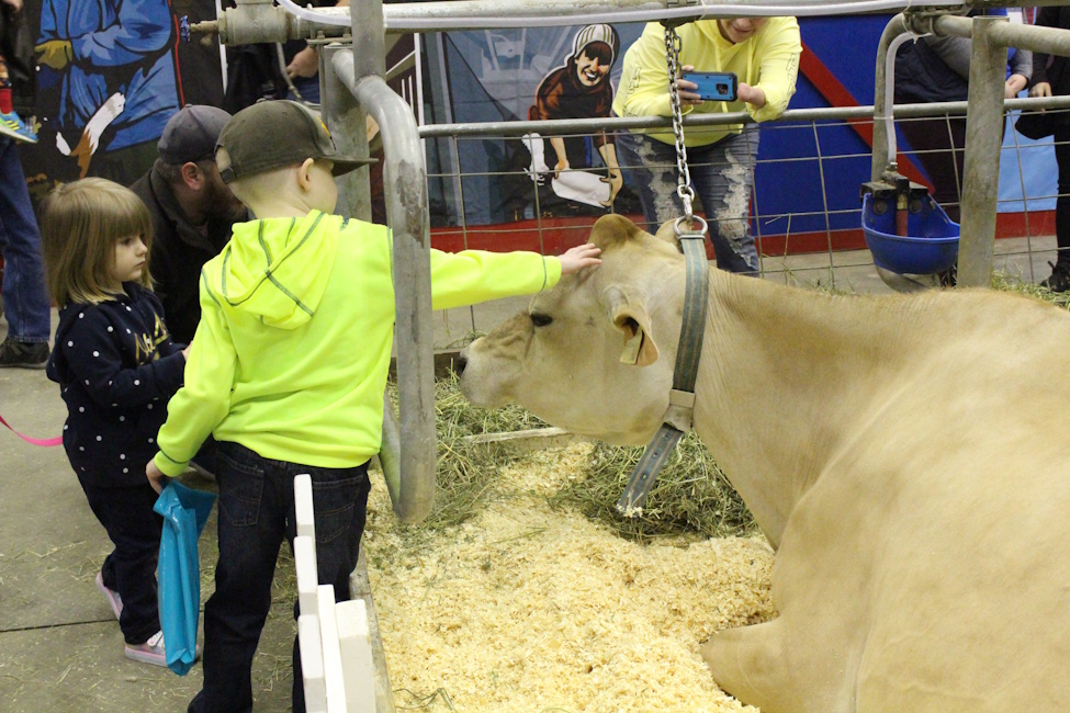 Royal Manitoba Winter Fair celebrates 55 years of top-notch ...