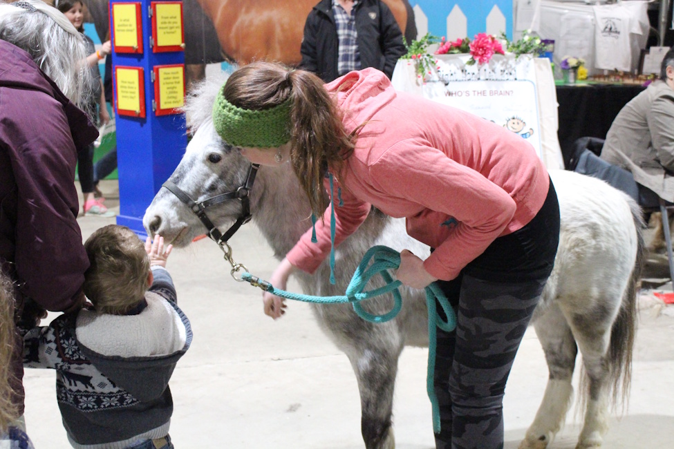 Royal Manitoba Winter Fair celebrates 55 years of top-notch ...