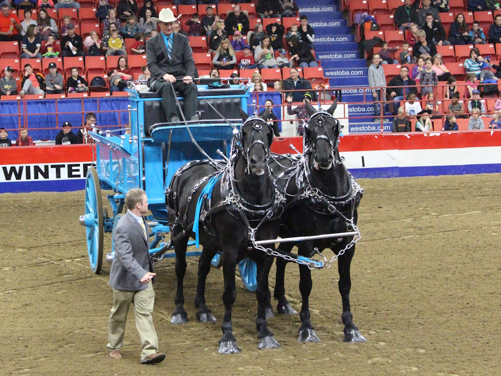 Royal Manitoba Winter Fair celebrates 55 years of top-notch ...