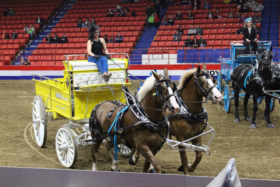 Royal Manitoba Winter Fair celebrates 55 years of top-notch ...