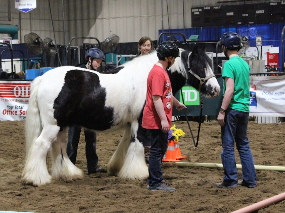 Royal Manitoba Winter Fair celebrates 55 years of top-notch ...
