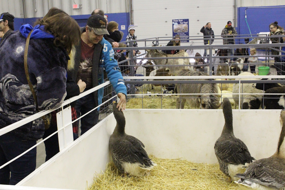 Royal Manitoba Winter Fair celebrates 55 years of top-notch ...