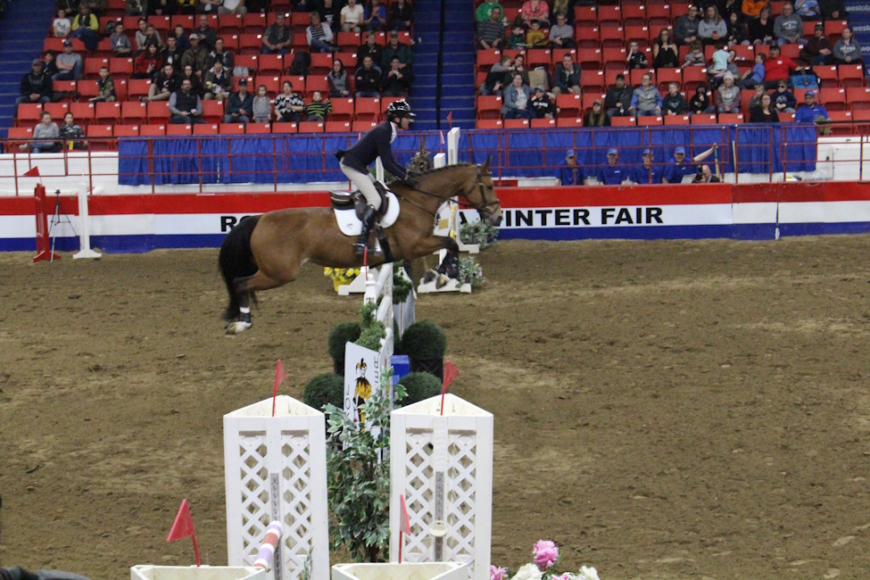 Royal Manitoba Winter Fair celebrates 55 years of top-notch ...