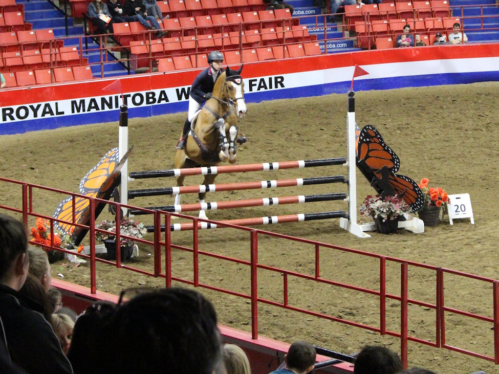 Royal Manitoba Winter Fair celebrates 55 years of top-notch ...