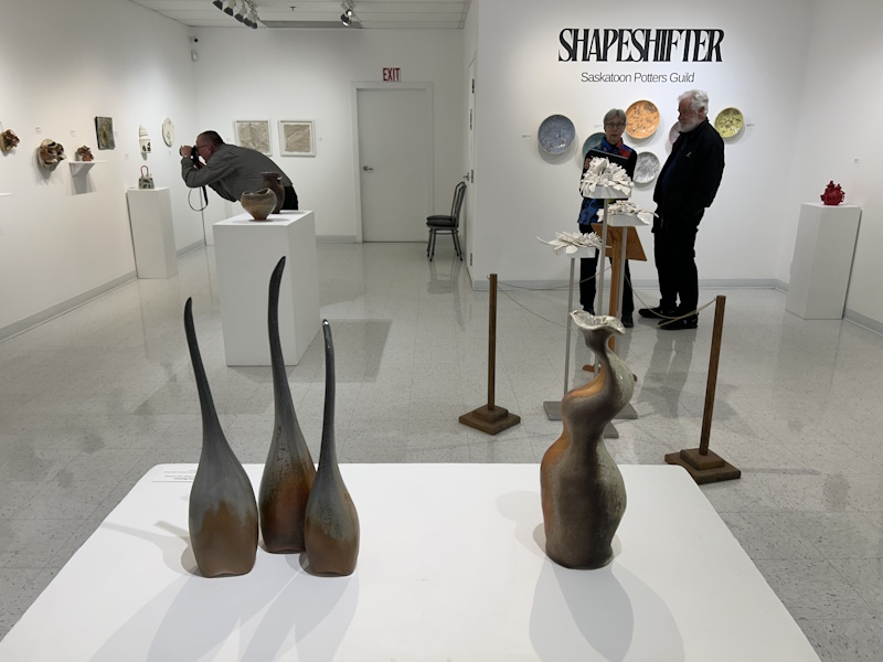 “Shapeshifter” presents a world of ceramic styles at the Gallery ...