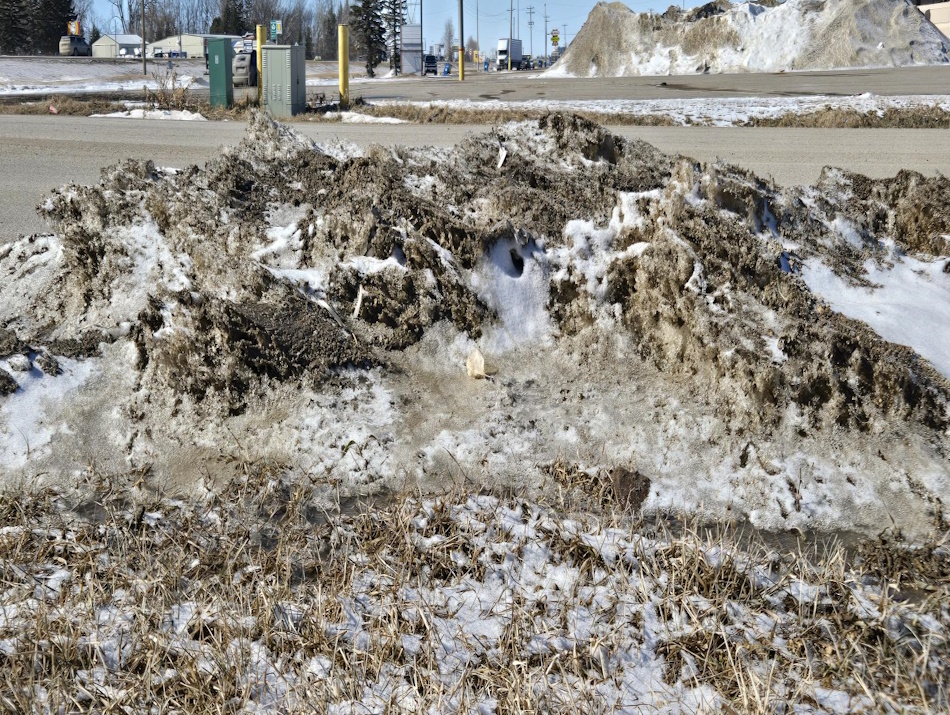 Portage la Prairie pharmacists share allergy season tips ...