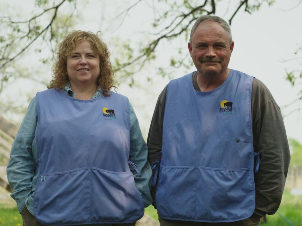Heartwarming new documentary series showcases Manitoba’s black bear ...
