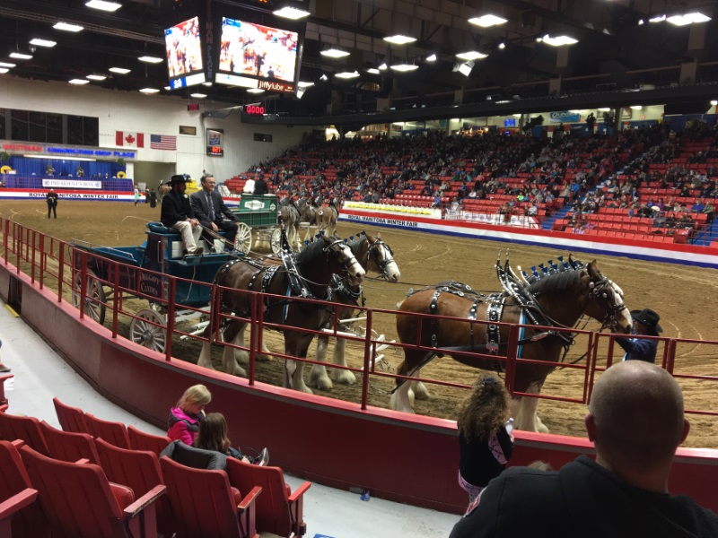 Royal Manitoba Winter Fair begins today at the Keystone Centre ...