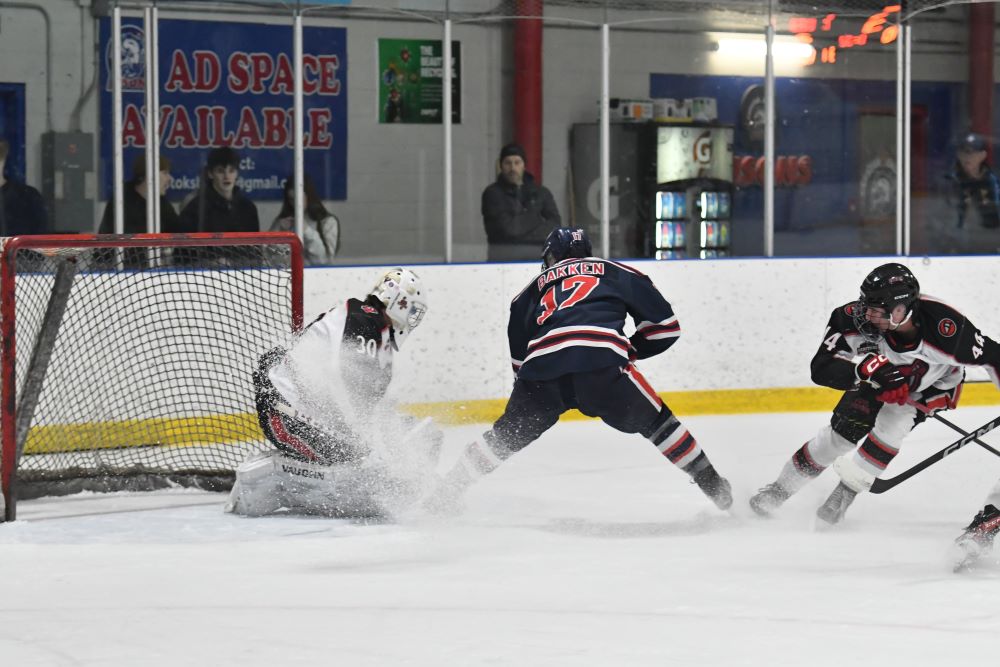 Bisons take out the Cubs for HJHL South Division banner ...