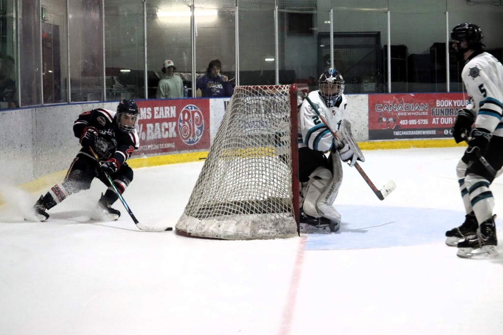 Okotoks Bisons wrangled in game 1 of the HJHL final - OkotoksOnline.com ...