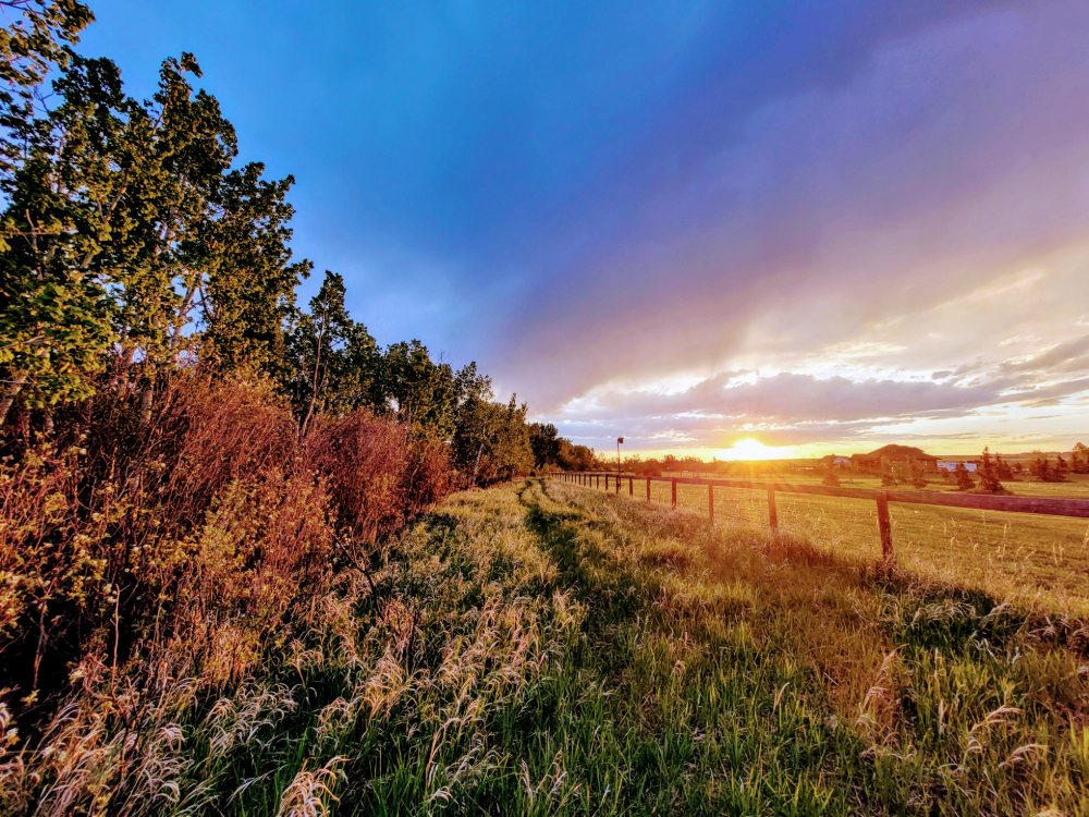 Foothills County to vote on housing development east of Aldersyde today ...