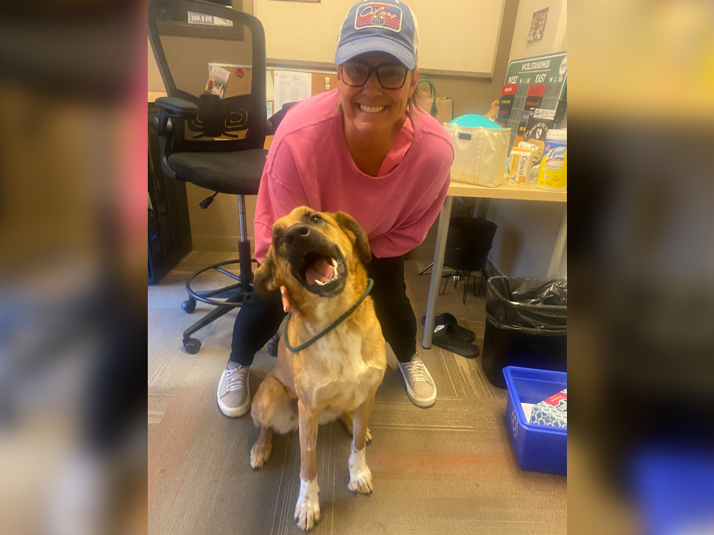 Meet Gina, From Heaven Can Wait Animal Rescue! - OkotoksOnline.com ...