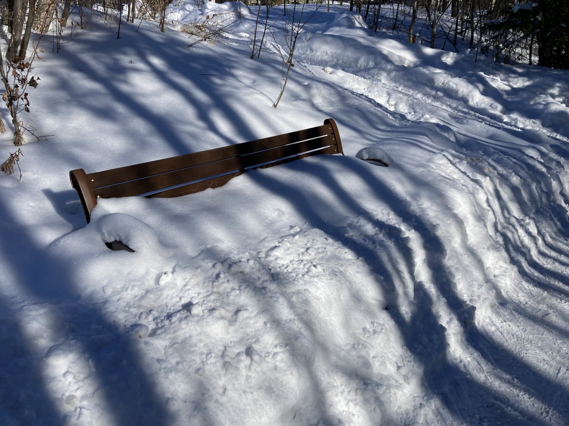 Update: Snowfall warning ended for Sundre area - CentralAlbertaOnline ...