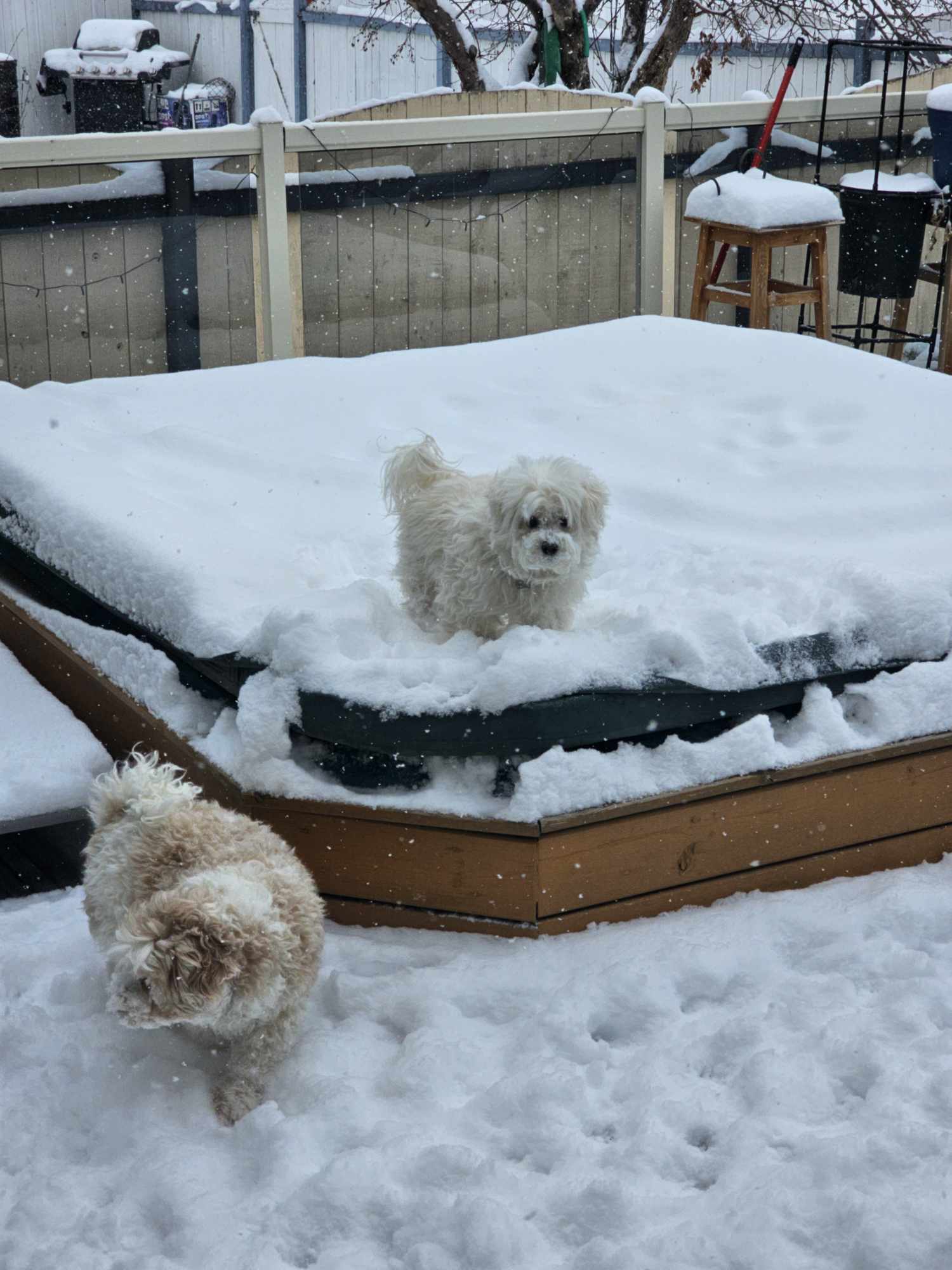 Spring warmth arrives in Airdrie after snowy week - DiscoverAirdrie.com ...