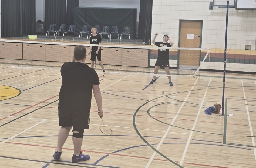 SHSAA regional badminton field takes shape after districts ...