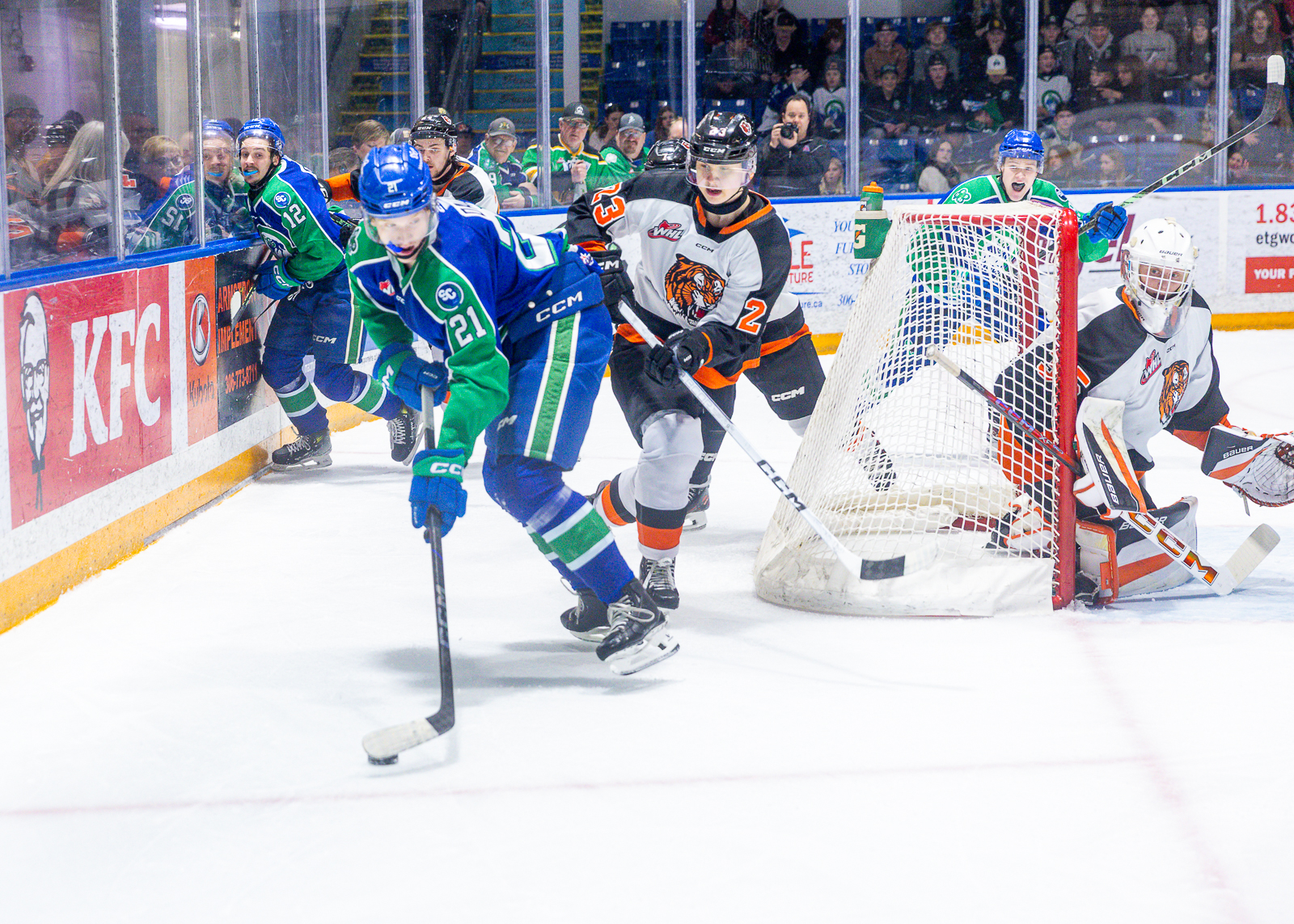 Broncos host Tigers in playoff rematch - SwiftCurrentOnline.com - Local ...