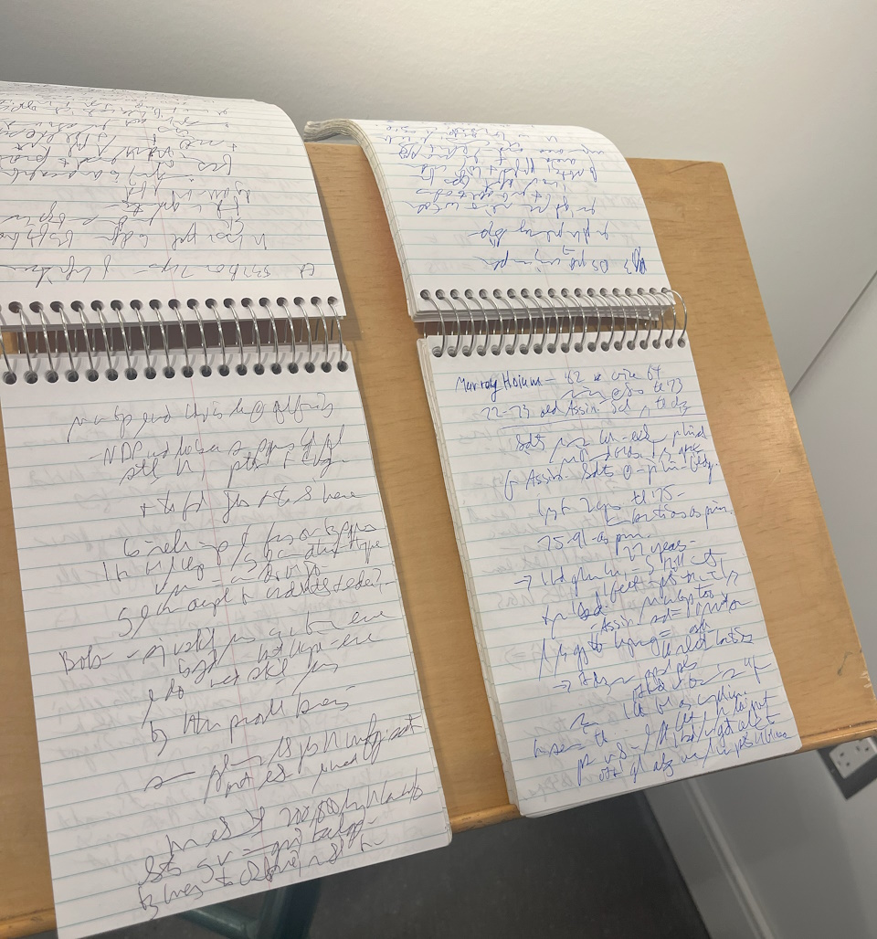 'A Nikkel's Worth' exhibition opens up at Weyburn Art Gallery ...