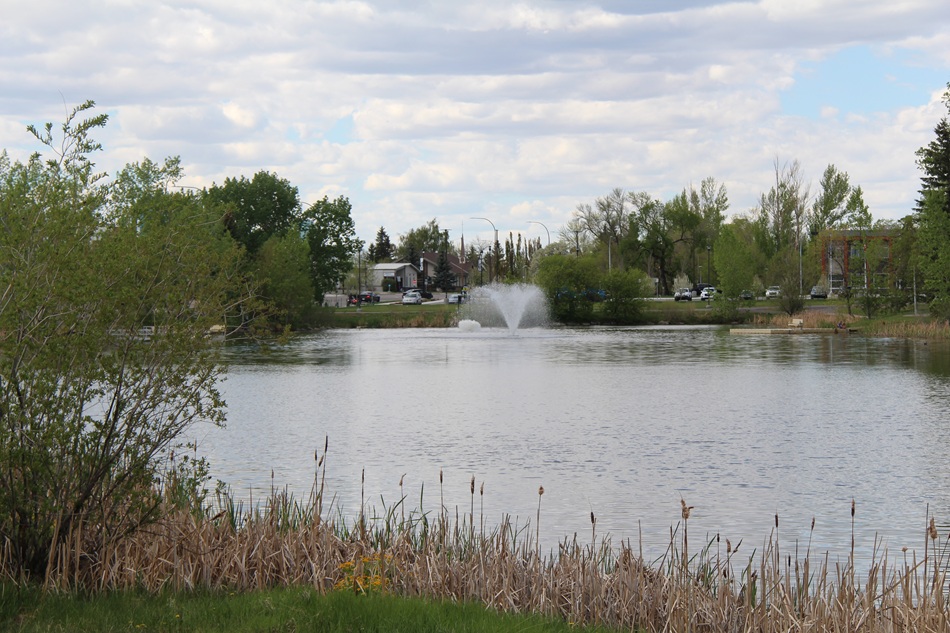 Kinsmen Lake stocked with over 1,500 trout - StrathmoreNow.com - Local ...