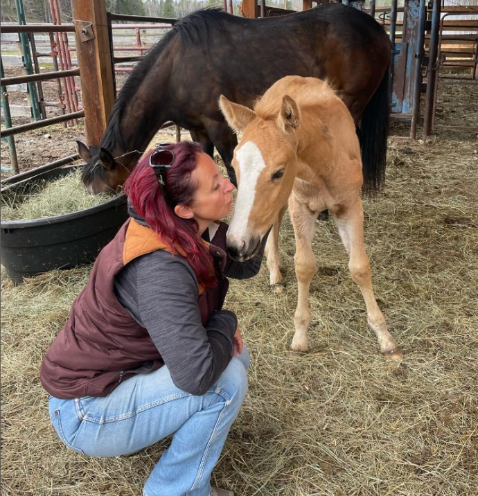 Help save horses at Jensen Ranch Rescue fundraiser - CochraneNow ...