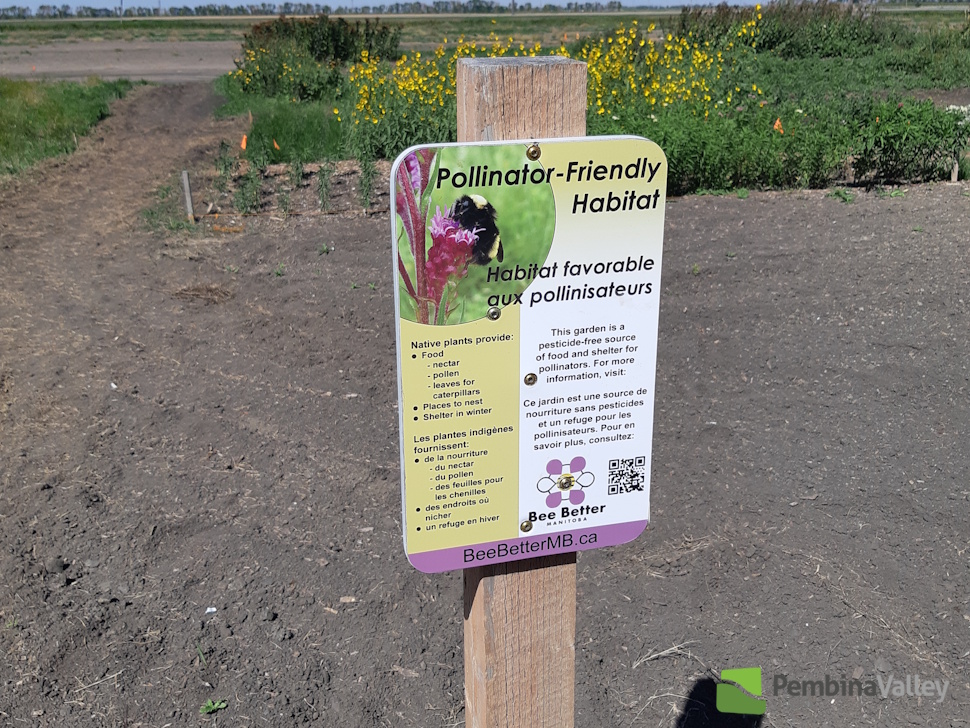 Here’s why it’s a good time to remember that pollinator gardens still ...